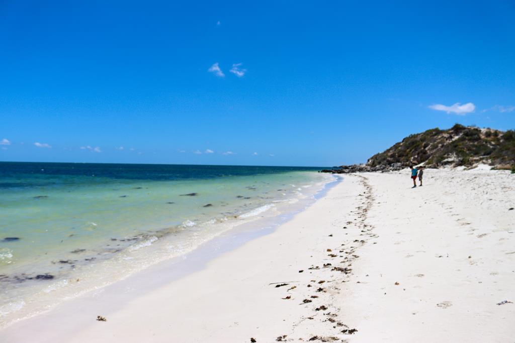 Milligan Island Camping Node – Travel nut