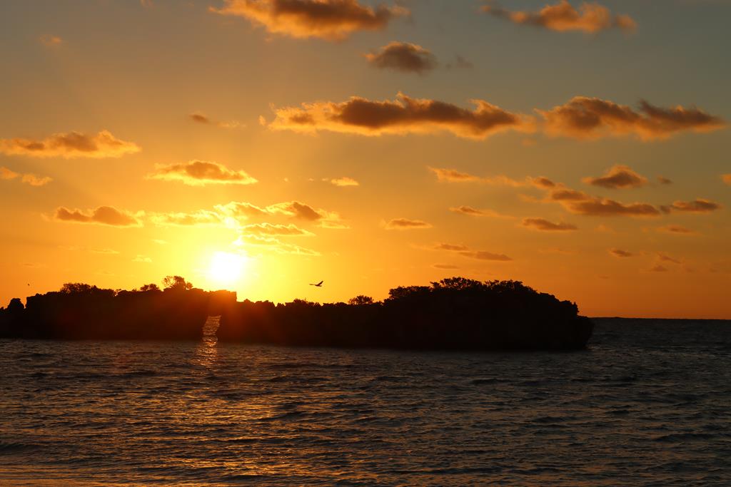 Milligan Island Camping Node – Travel nut