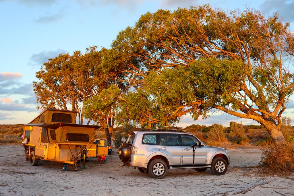 Knobby Head - Travel nut