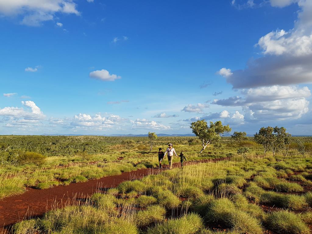 Millstream Chichester NP – an oasis in the desert – Travel nut