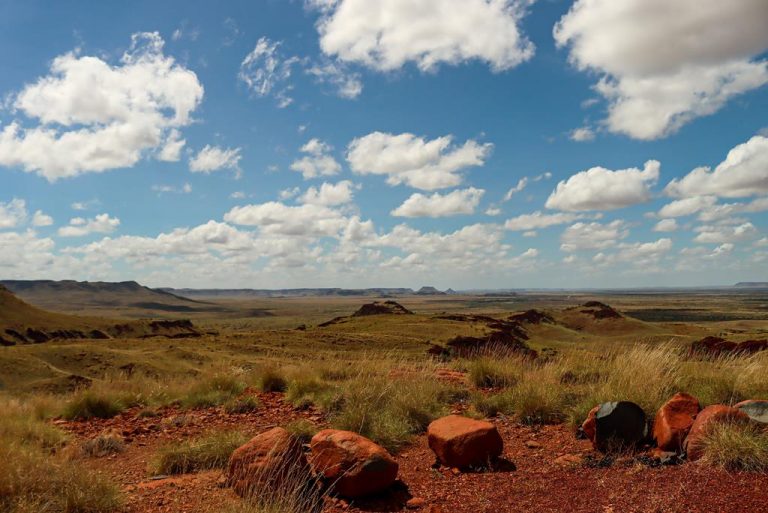 Millstream Chichester NP – an oasis in the desert – Travel nut