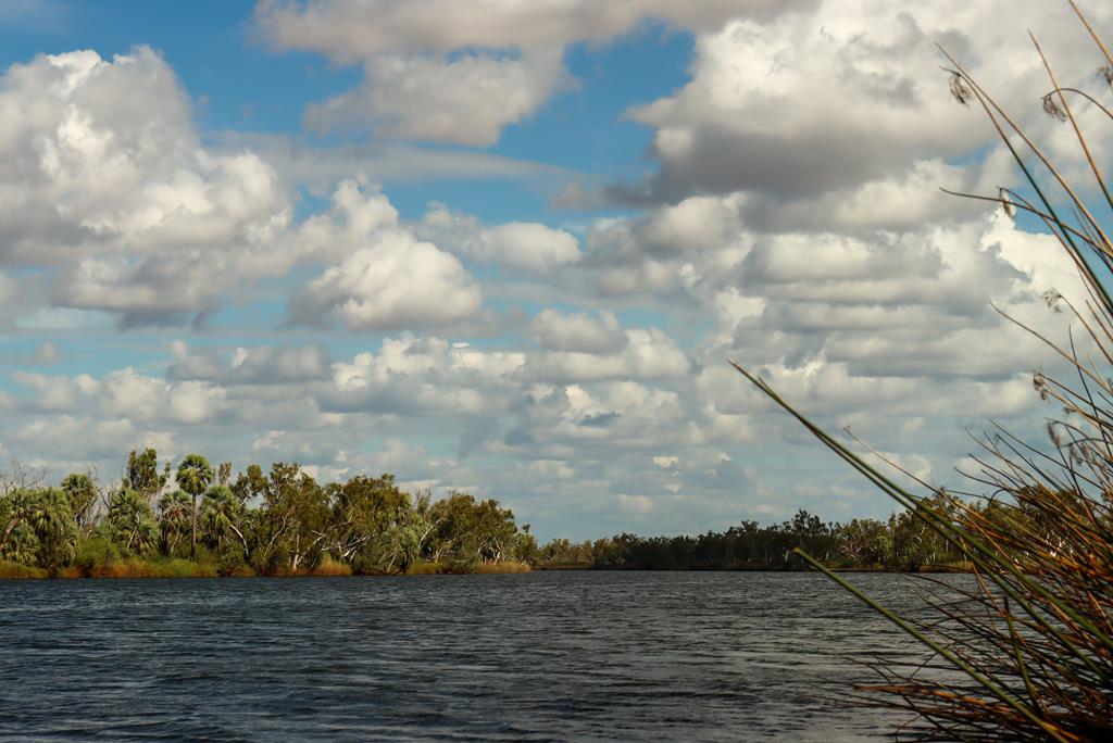 Millstream Chichester NP – an oasis in the desert – Travel nut