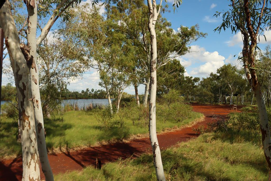 Millstream Chichester NP – an oasis in the desert – Travel nut