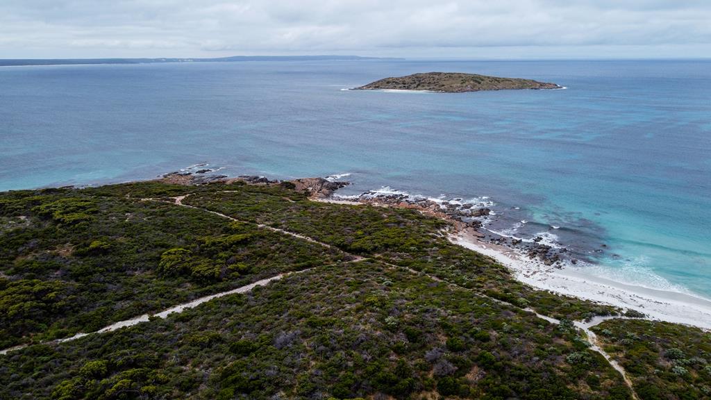 Cape Riche - Travel nut