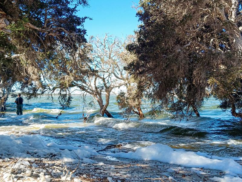 Stokes Inlet National Park – Travel nut