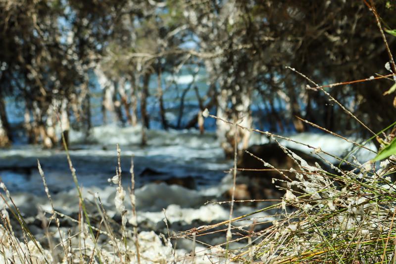 Stokes Inlet National Park - Travel nut