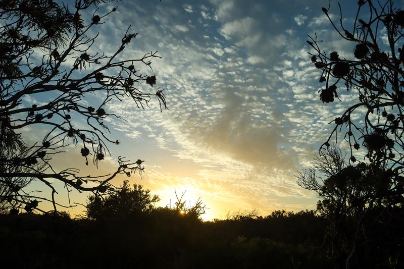 Quagi beach – Travel nut