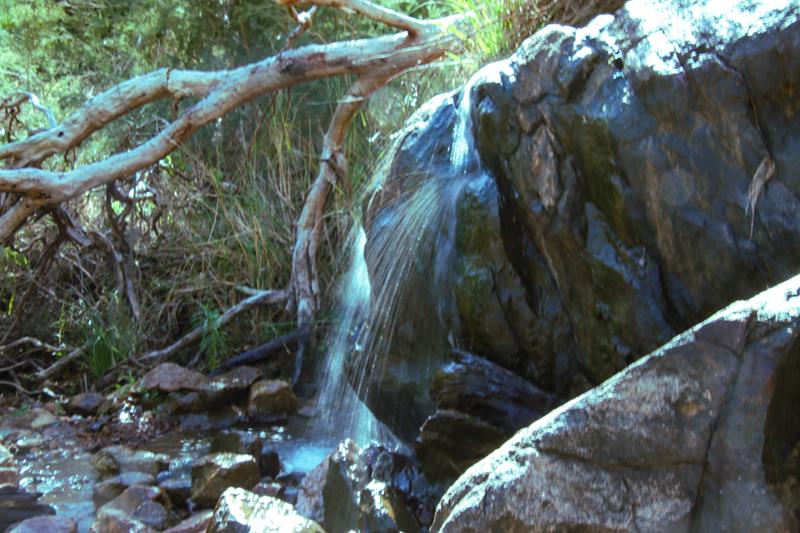 Whistlepipe Gully - Travel nut