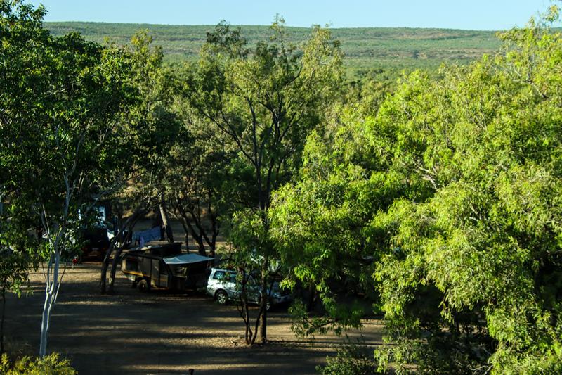 Silent Grove - Travel nut