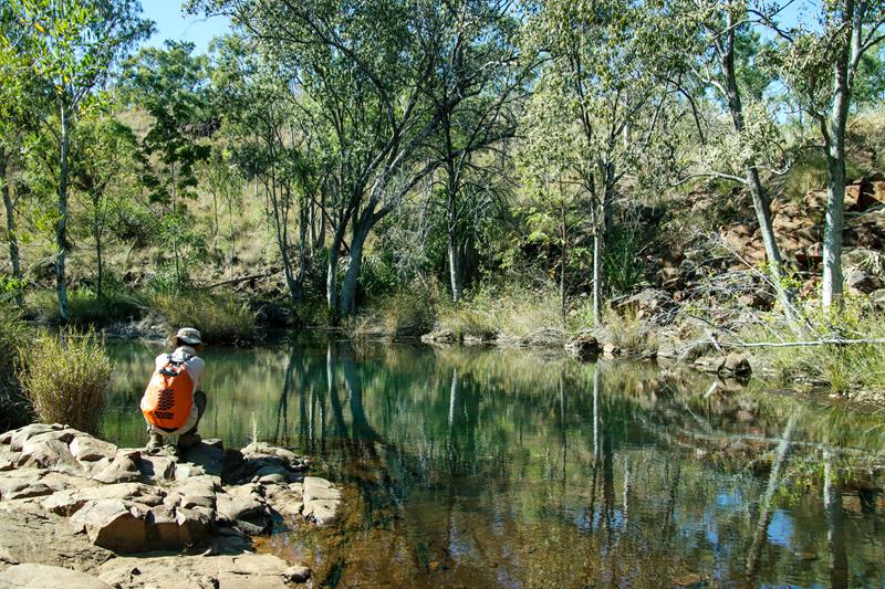 Bell Gorge – Travel nut