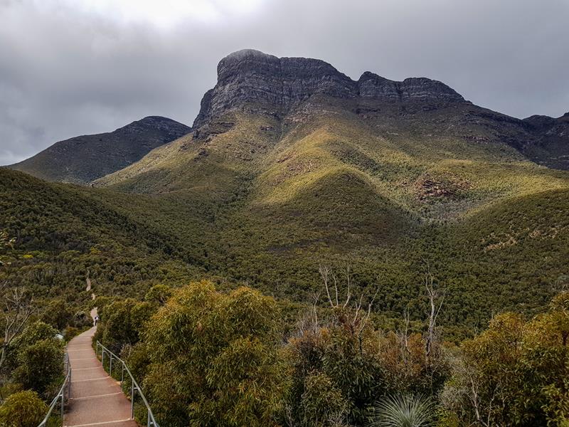 Stirling Range NP - Travel nut