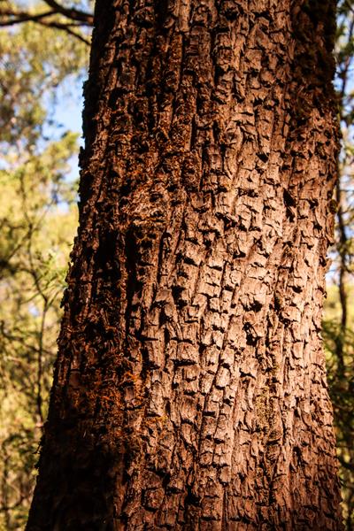 Warren National Park - Travel nut
