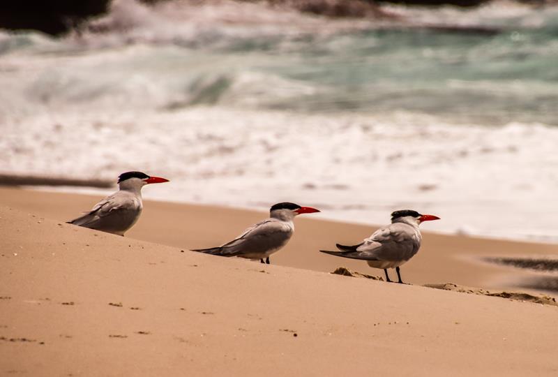 West Cape Howe National Park - Travel nut