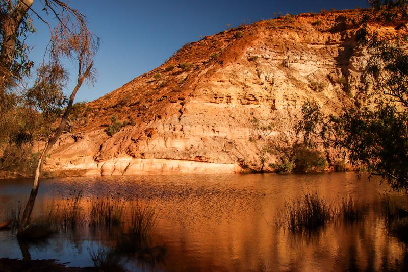 Ellendale Public Pool at Georgia Farber blog