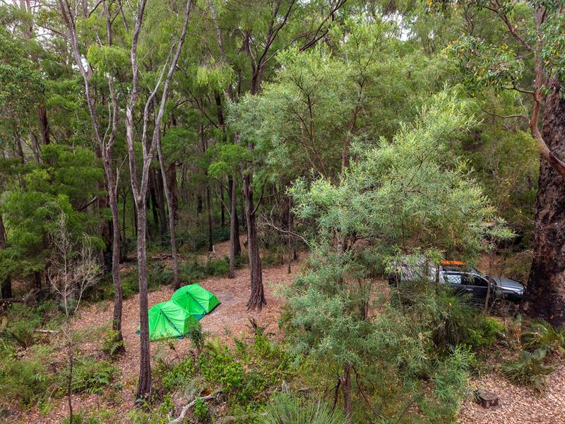 Snottygobble Loop campground - Travel nut
